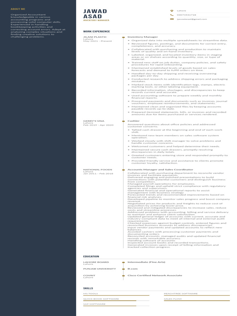 Jawad Resume | Download Free PDF | Bookkeeping | Audit