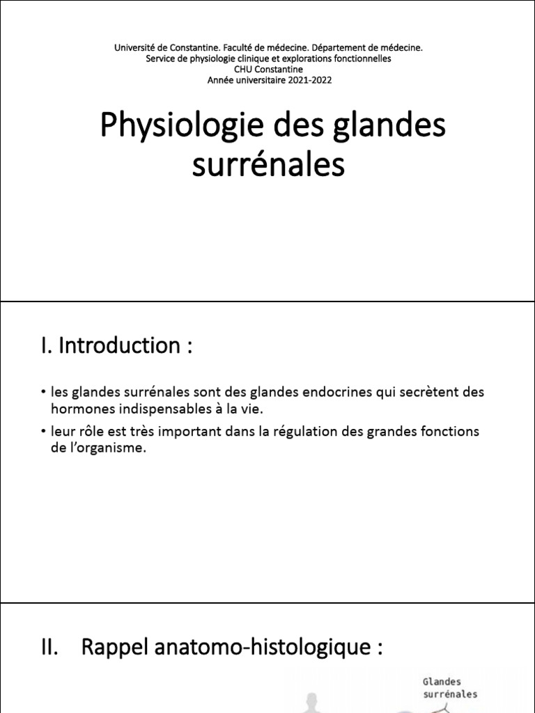 Physiologie de La Surrénale.1ère Année Pharmacie | PDF | Glande ...