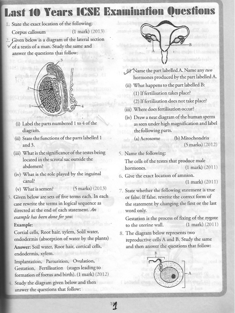 Work Sheet 10 Reproduction | PDF