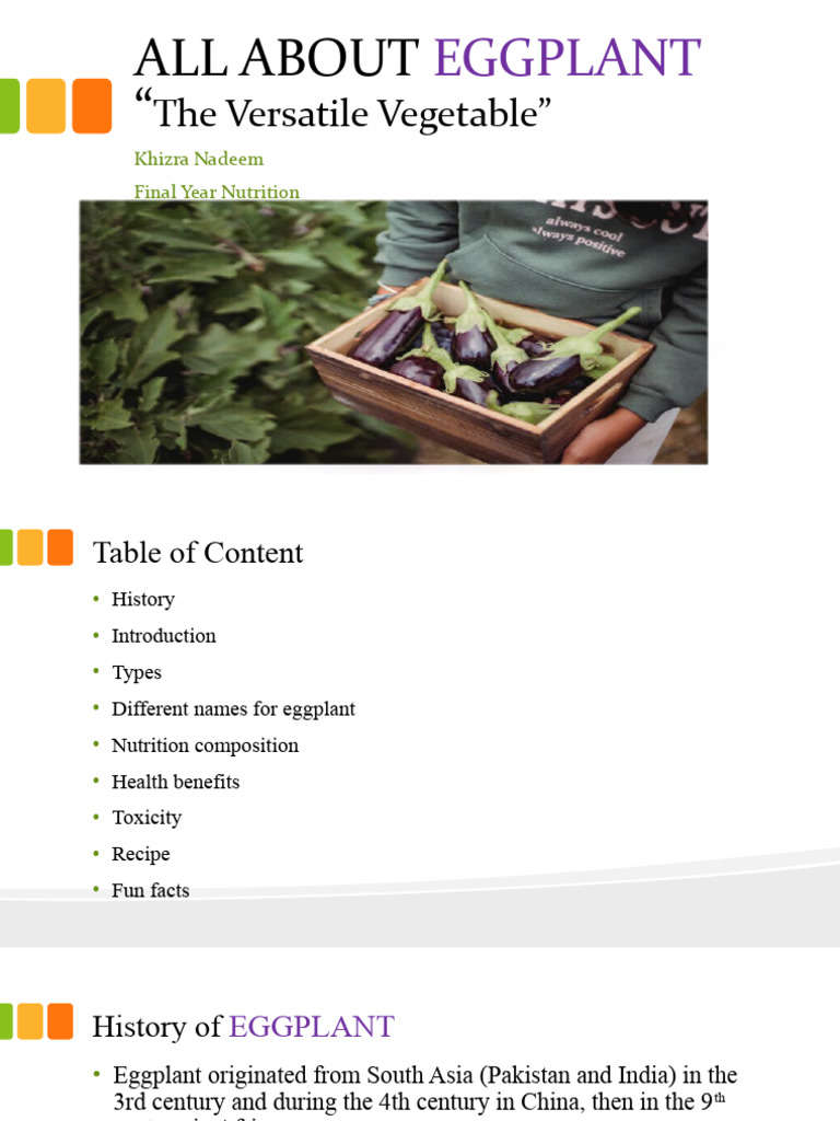 Eggplant Presentation - PPTM | PDF