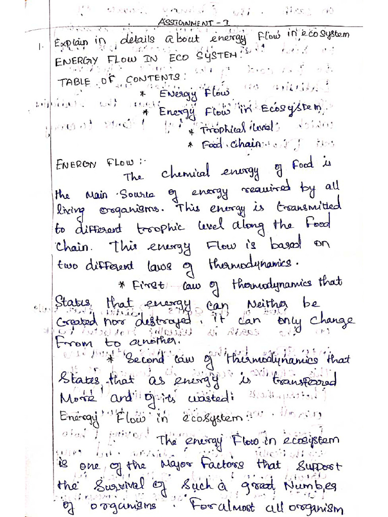 EVS Assignment 1 | PDF