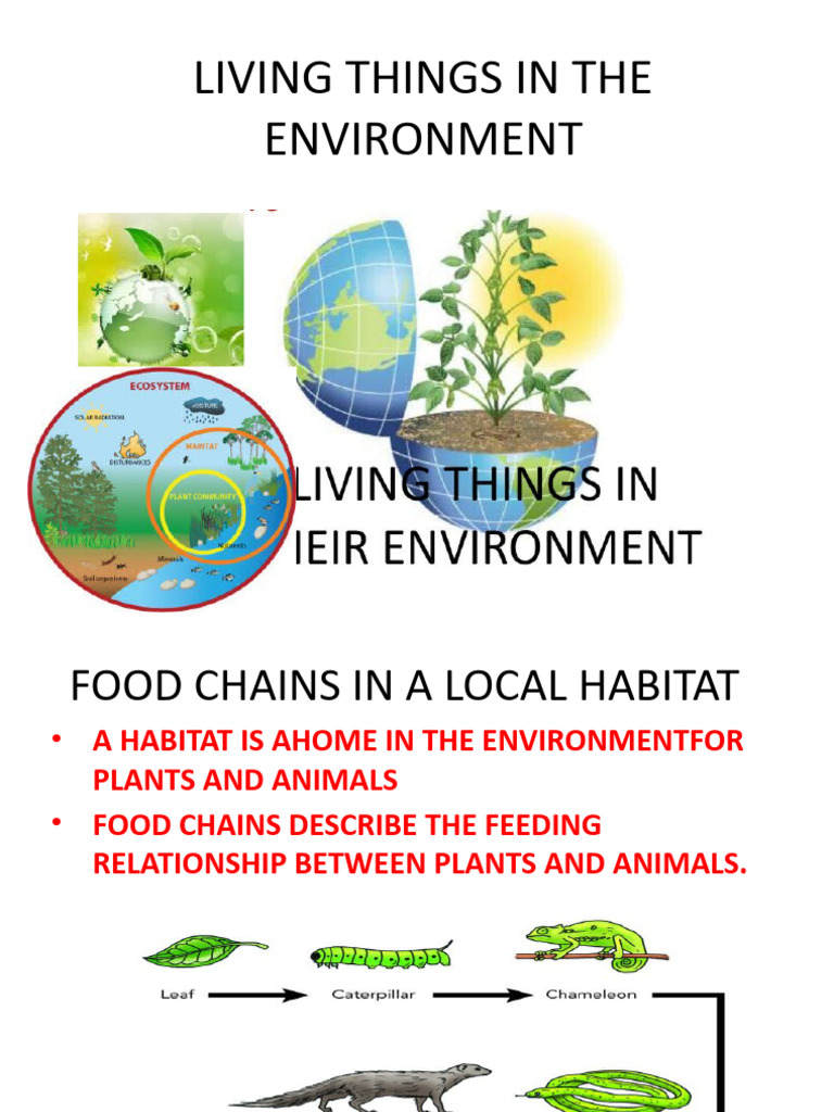Living Things in The Environment | PDF