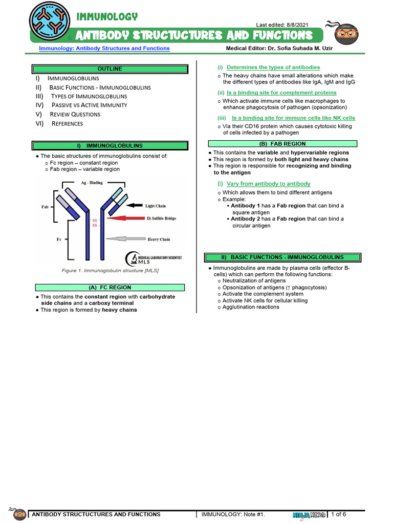 Antibody Structure & Function Atf | PDF | Antibody | Immunoglobulin G