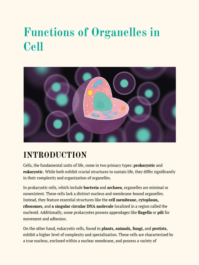 Functions of Organelles in Cell | PDF | Cell (Biology) | Endoplasmic ...