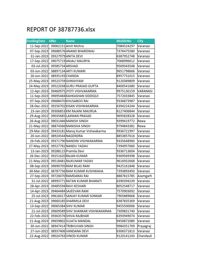 Varanasi User Activity Report | PDF