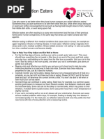 Cat FAS and Frustration Scale Guide | PDF