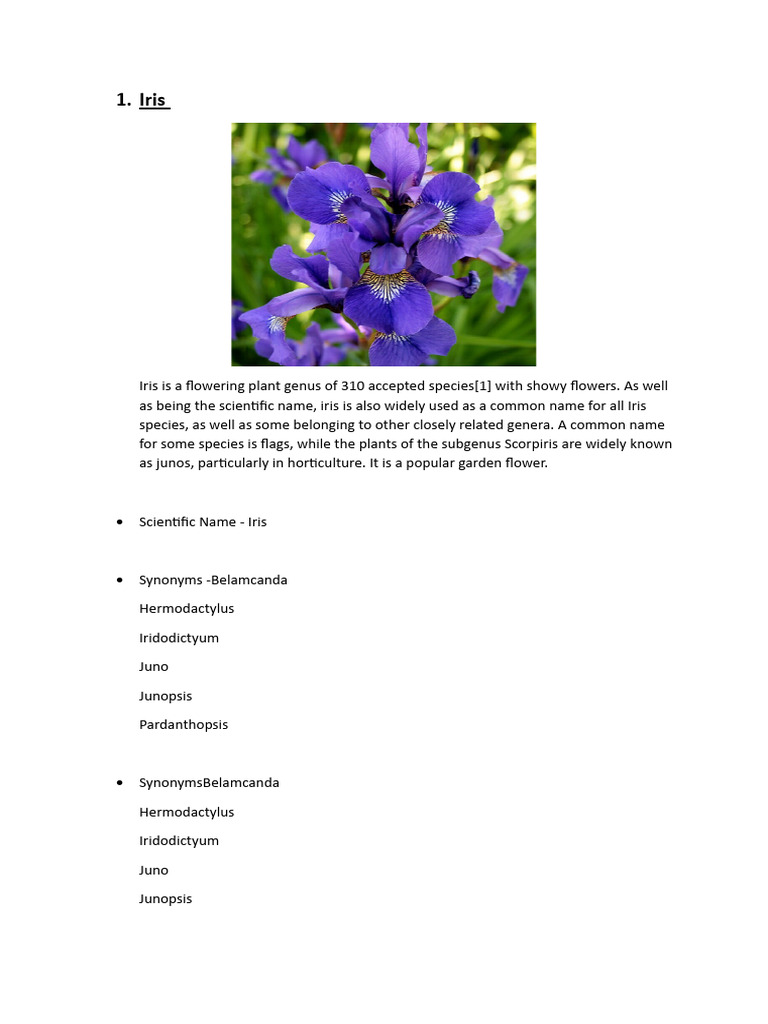 PROJECT | PDF | Plants | Botany