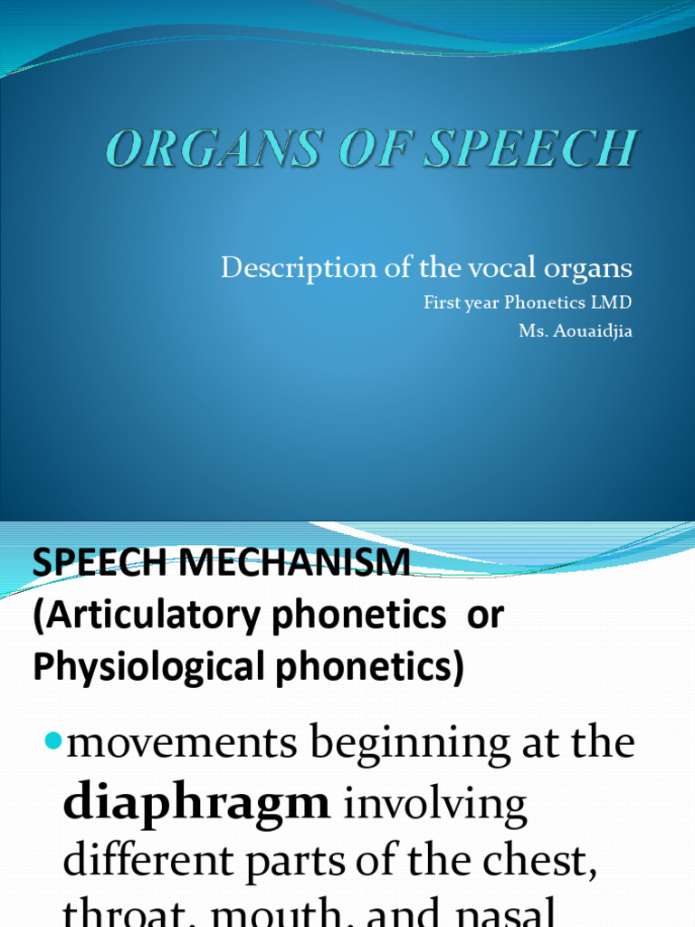 1 - Articulatory System - Phonetics 1st Year | PDF | Larynx | Phonetics