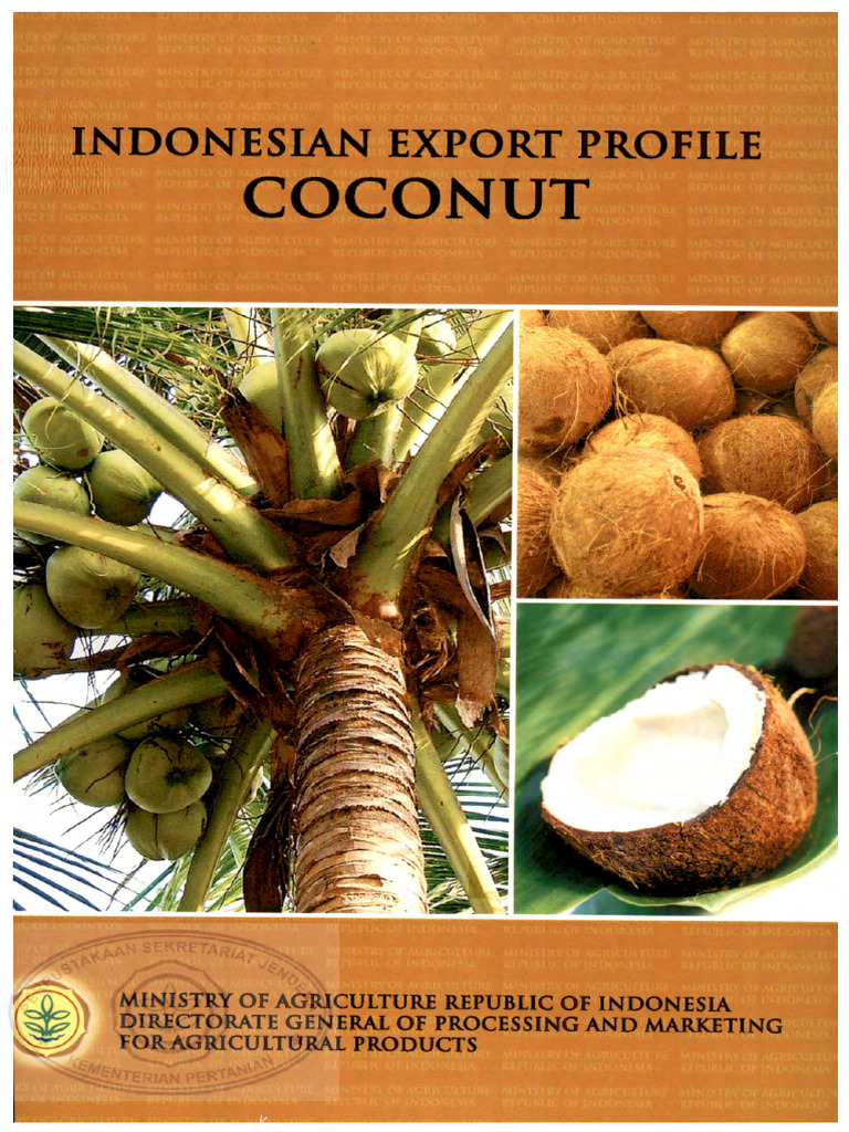 Coconut: Donesian Export Pro Ile | PDF | Coconut Oil | Coconut