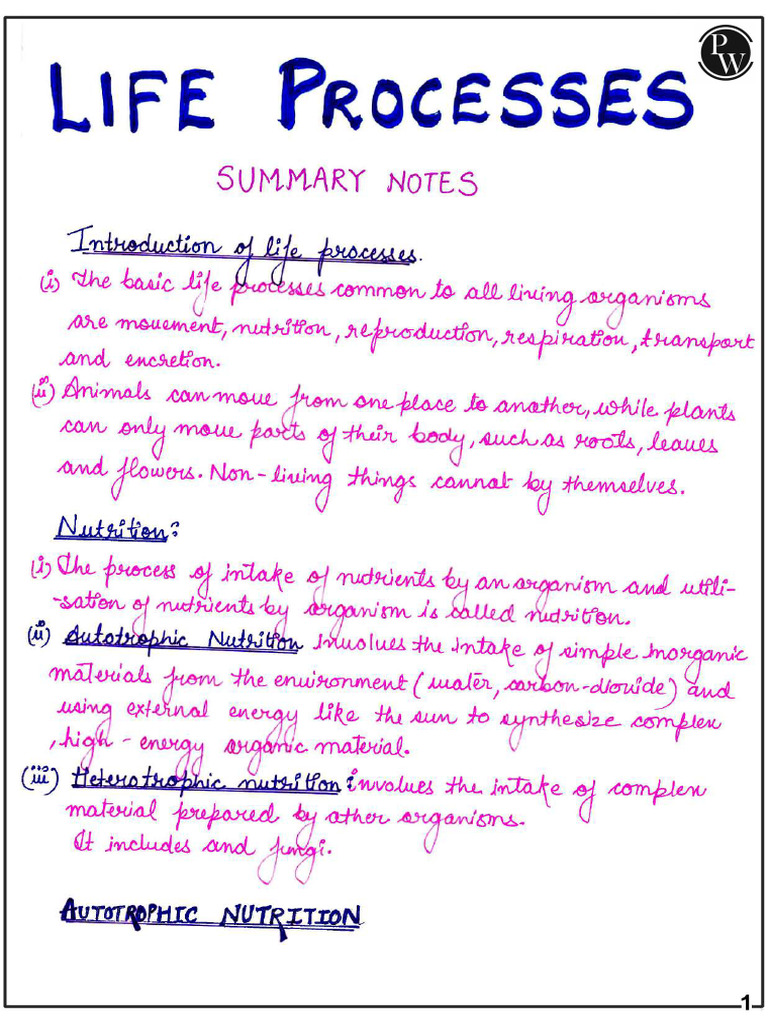 Life Processes - Short Notes - Warrior Series Class-10th | PDF
