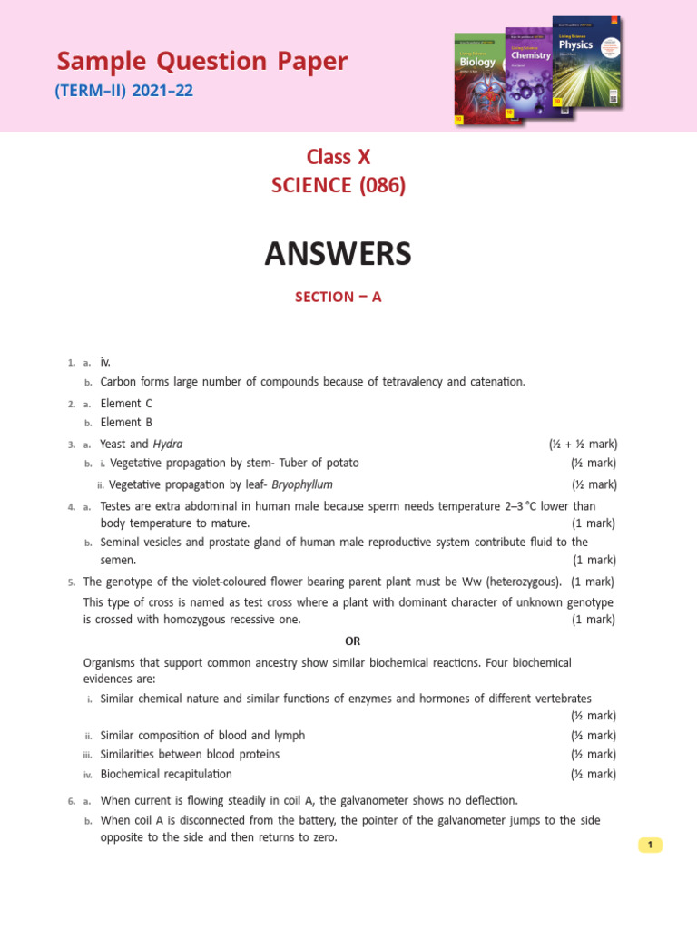 Science - Sample Paper (Term 2) ANSWERS | PDF | Chemical Bond | Ozone ...