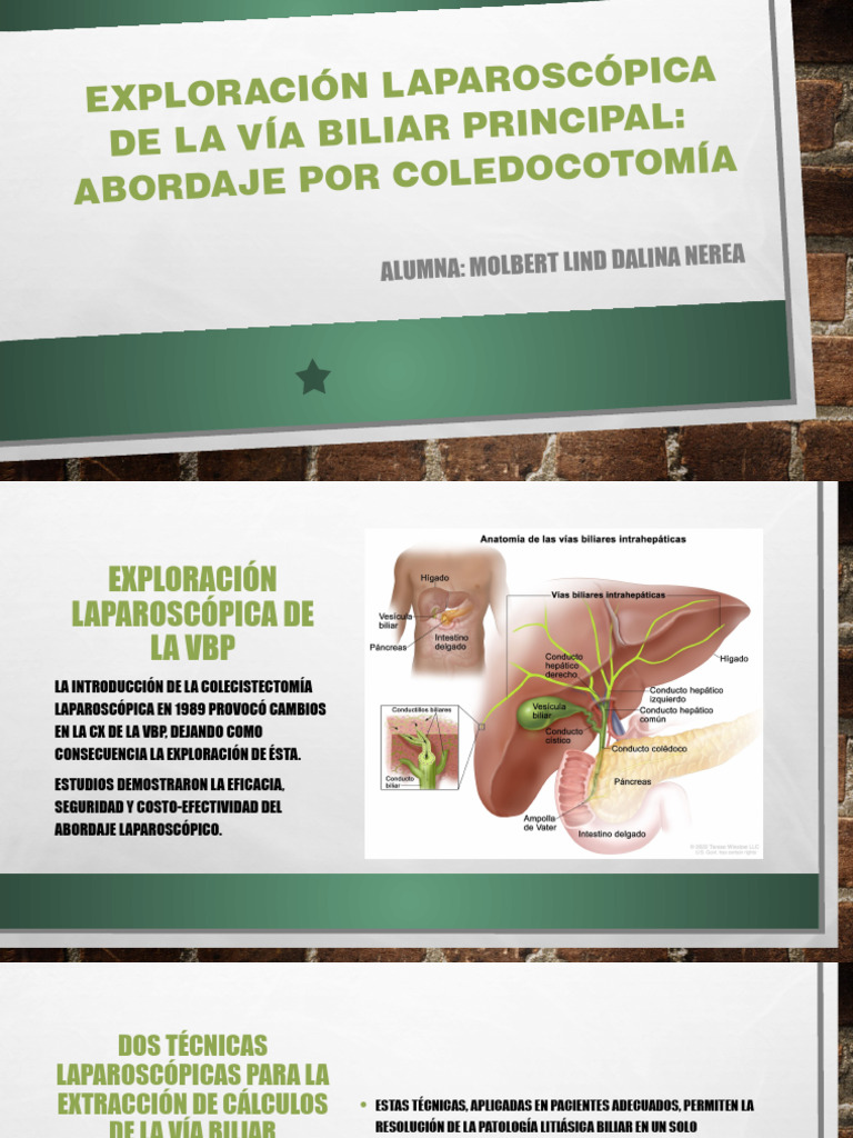 Coledocotomía en Laparoscopía Biliar | PDF | Cirugía | Medicina
