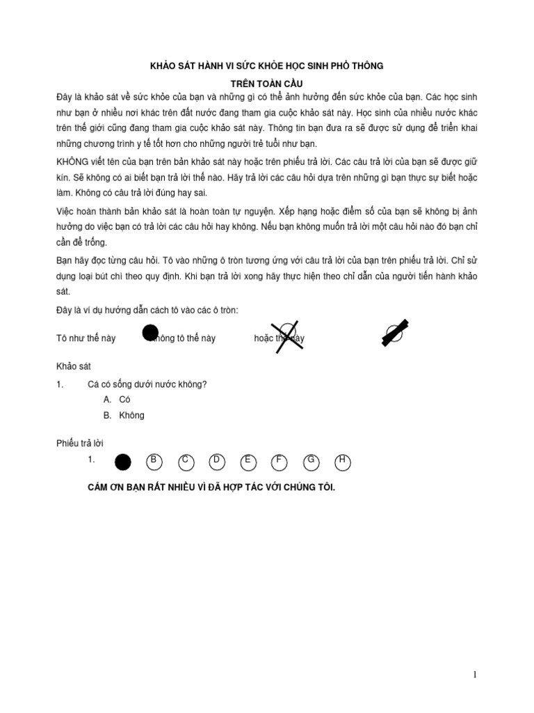 2013 Vietnam GSHS Questionnaire Vietnamese | PDF