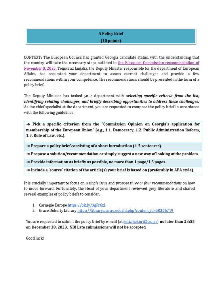 Policy Brief Instructions - 2023 | PDF