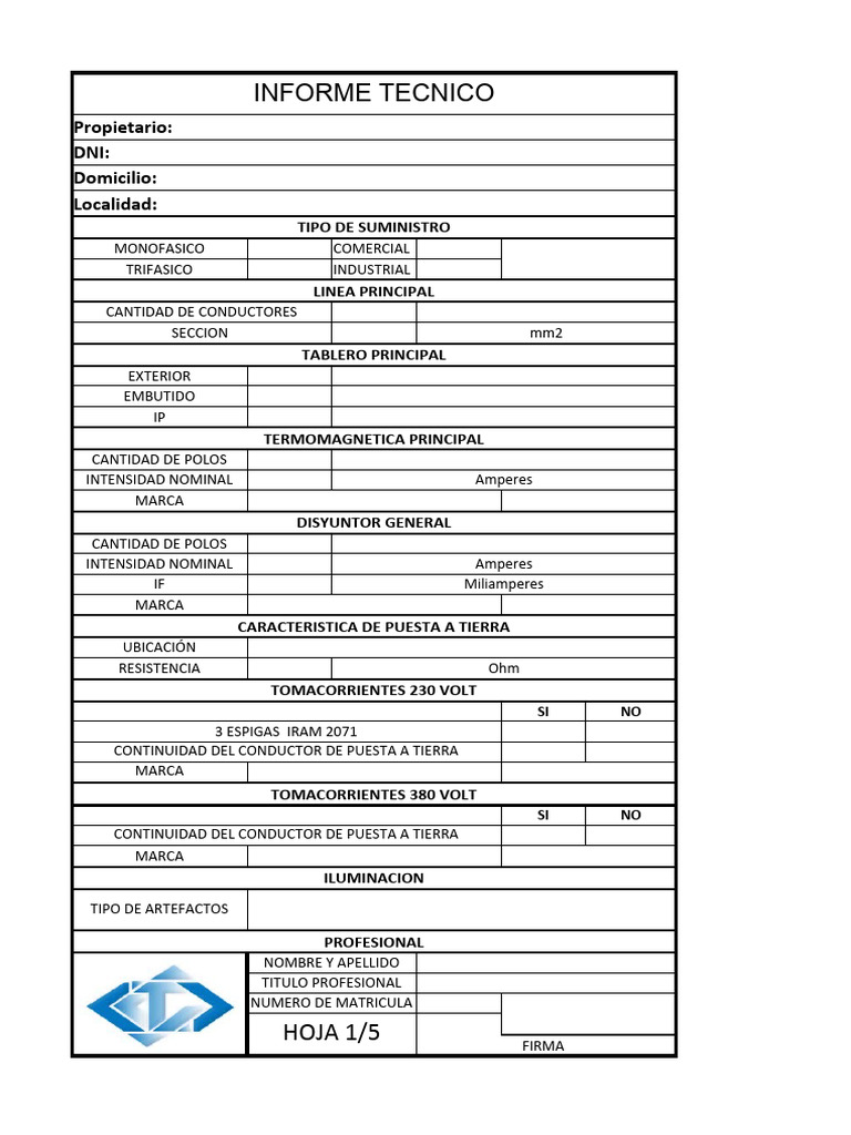 Planilla de Informe Tecnico | PDF