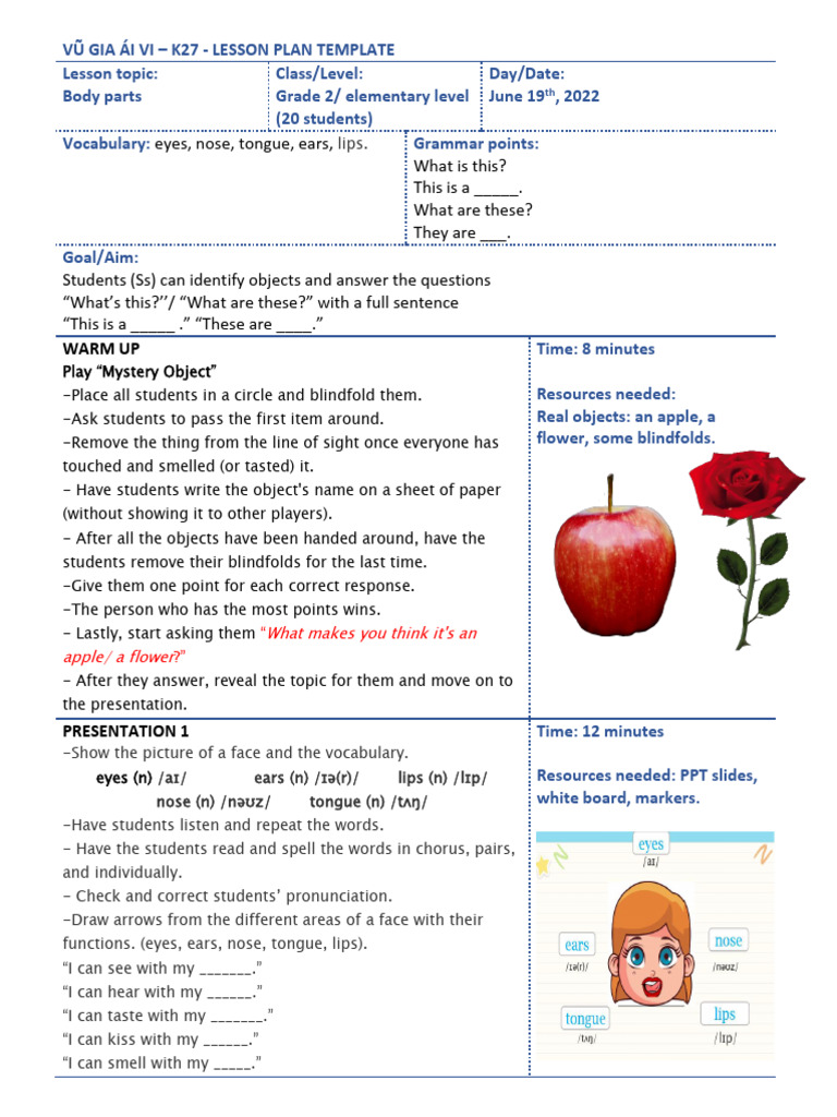 Tesol LESSON PLAN | PDF | Behavior Modification | Linguistics