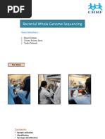 Dneasy Powersoil Pro Kit Handbook | PDF | Polymerase Chain Reaction ...