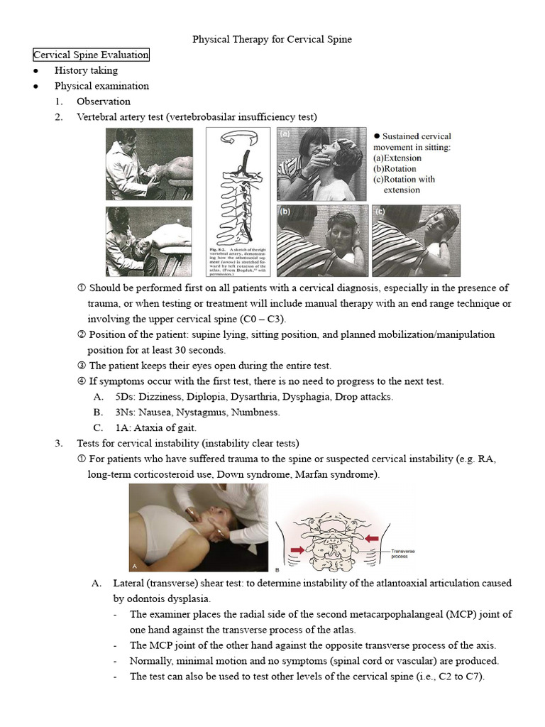 09 Cervical Spine 2 | PDF | Anatomical Terms Of Motion | Elbow