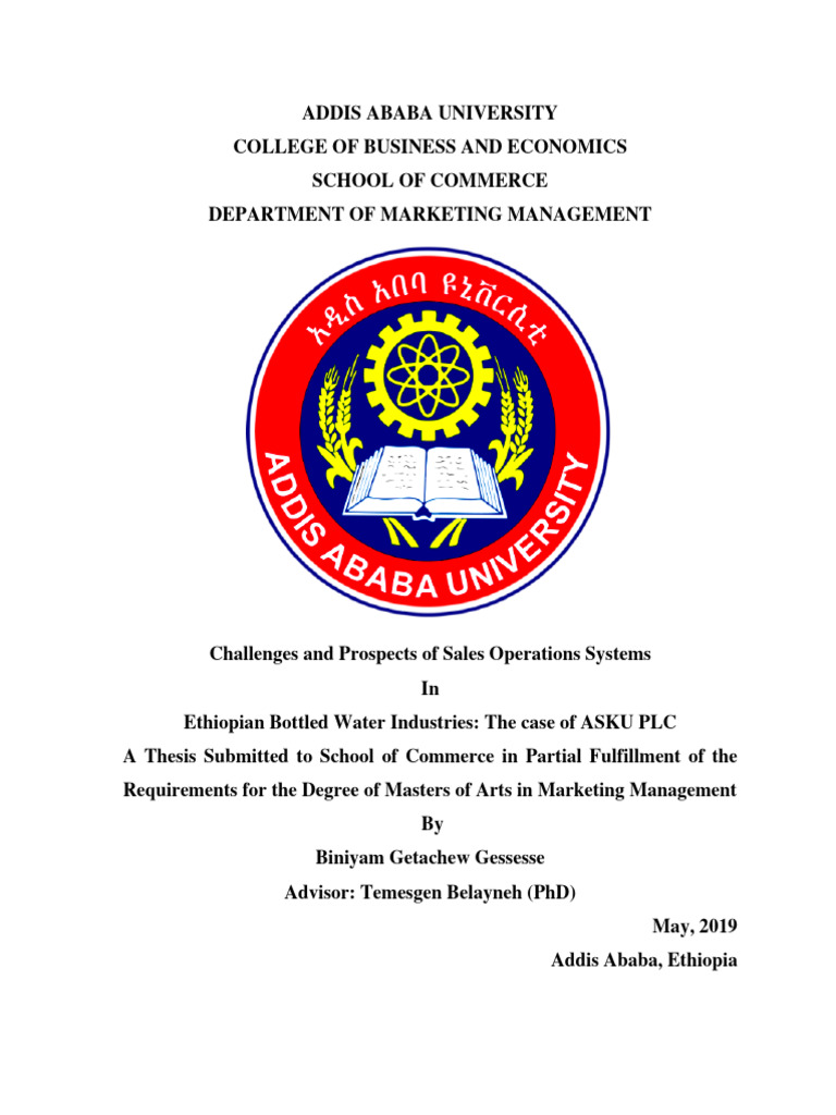 Biniyam Getachew | PDF | Sales | Performance Indicator