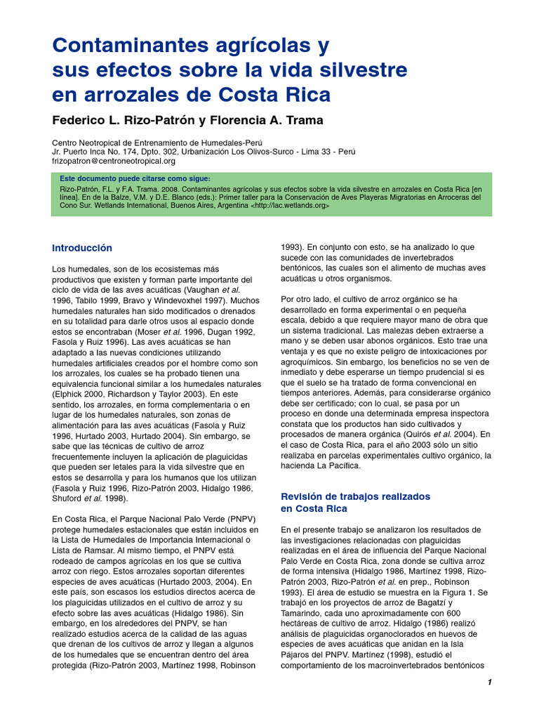 Rizo Patron y Trama Arroz | PDF | Arroz | Agricultura