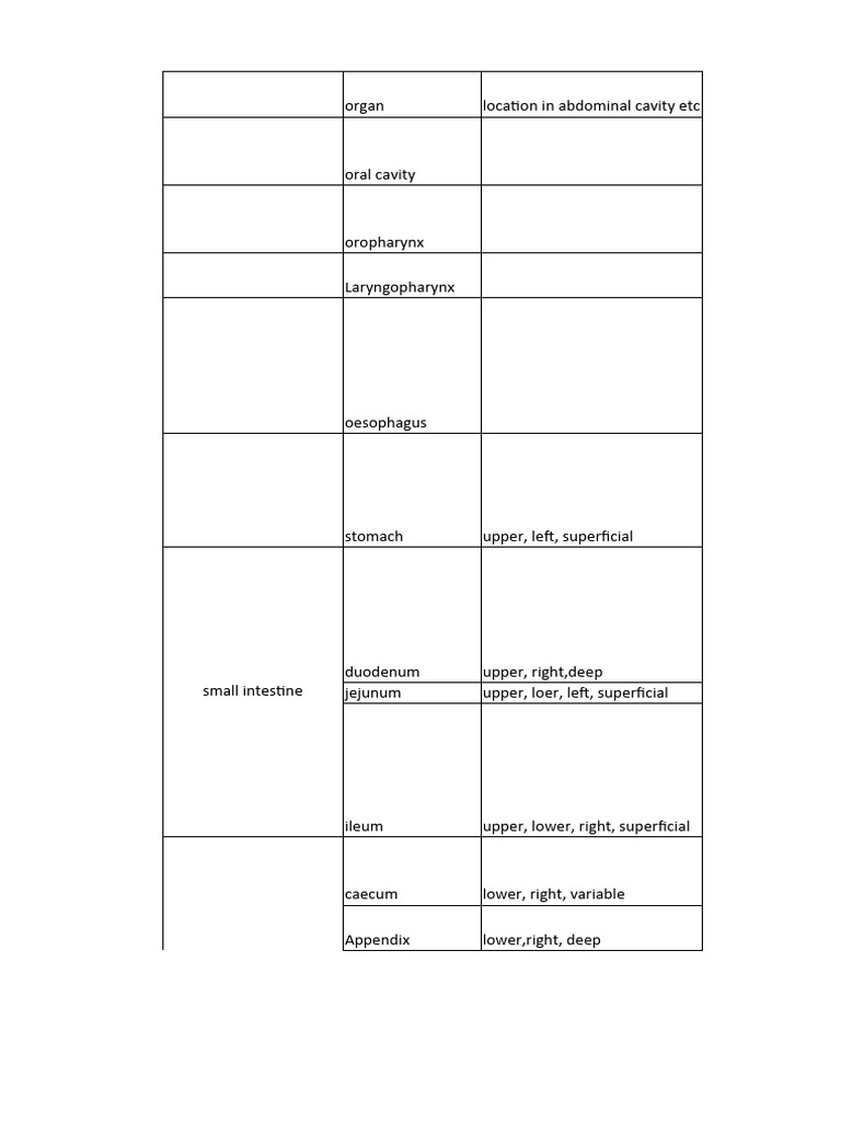 Summary of Digestive System 1 | PDF