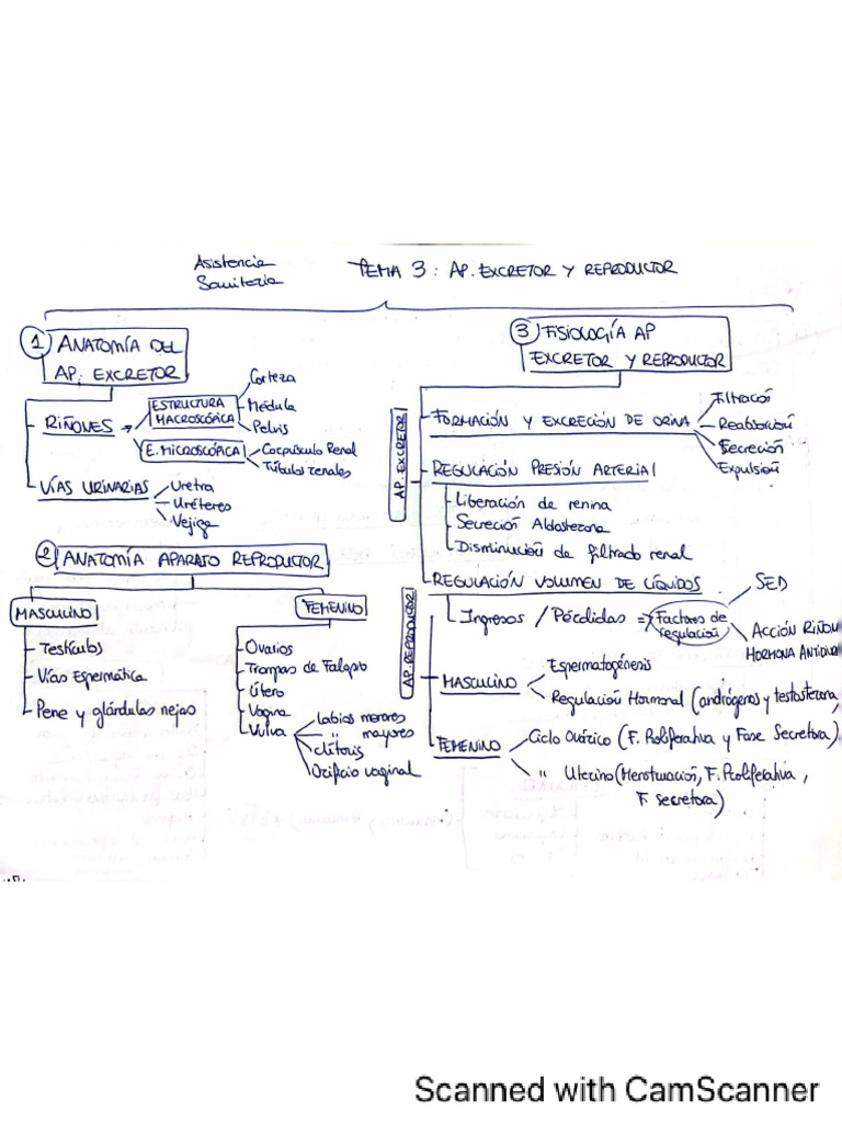 Esquema tema 3 (1) | PDF