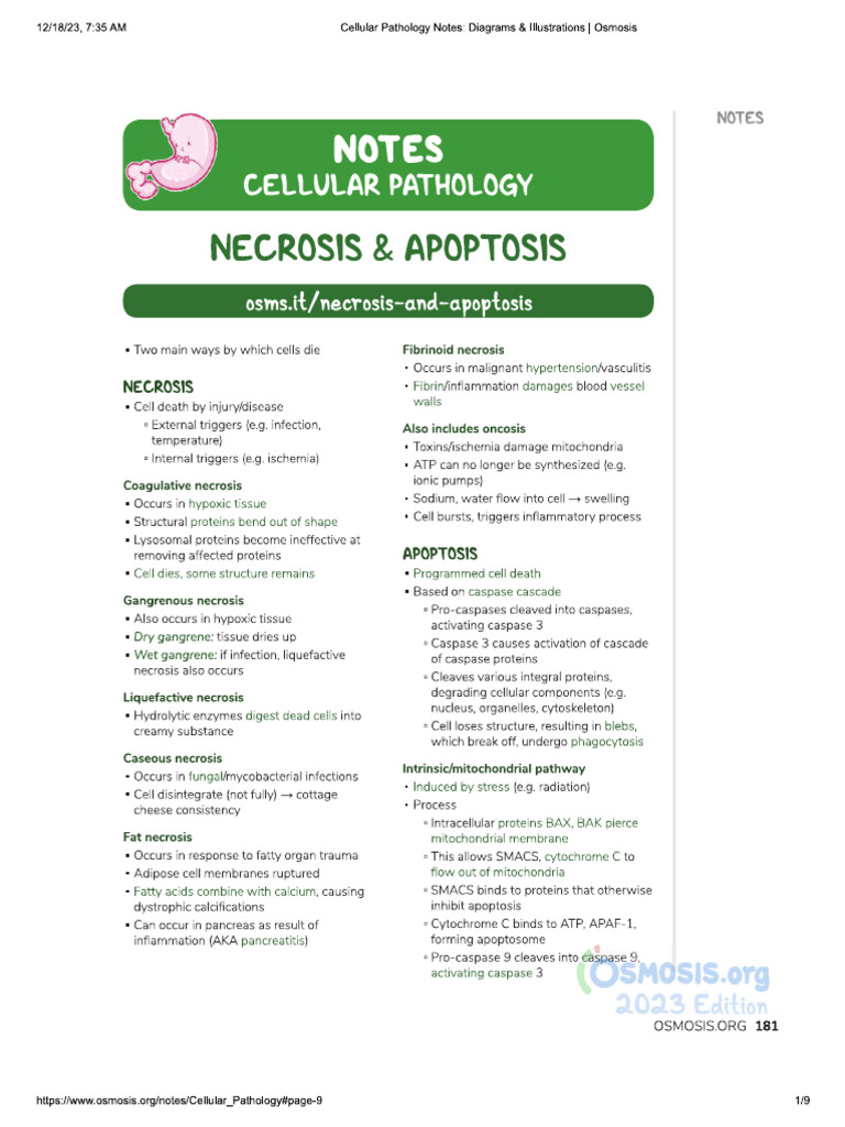 12cellular Pathology Notes1 - Diagrams & Illustrations - Osmosis | PDF