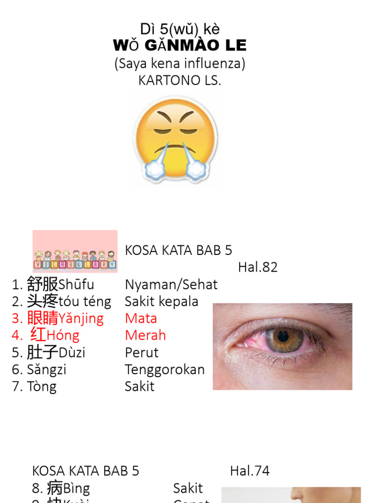 KLS 8 Kan Bing Periksa Ke Dokter | PDF