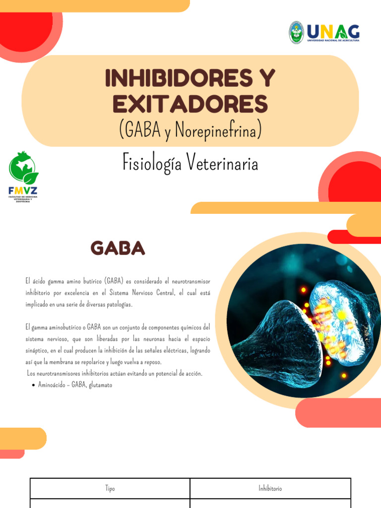 (GABA y Norepinefrina) | PDF | Sinapsis | Neurona
