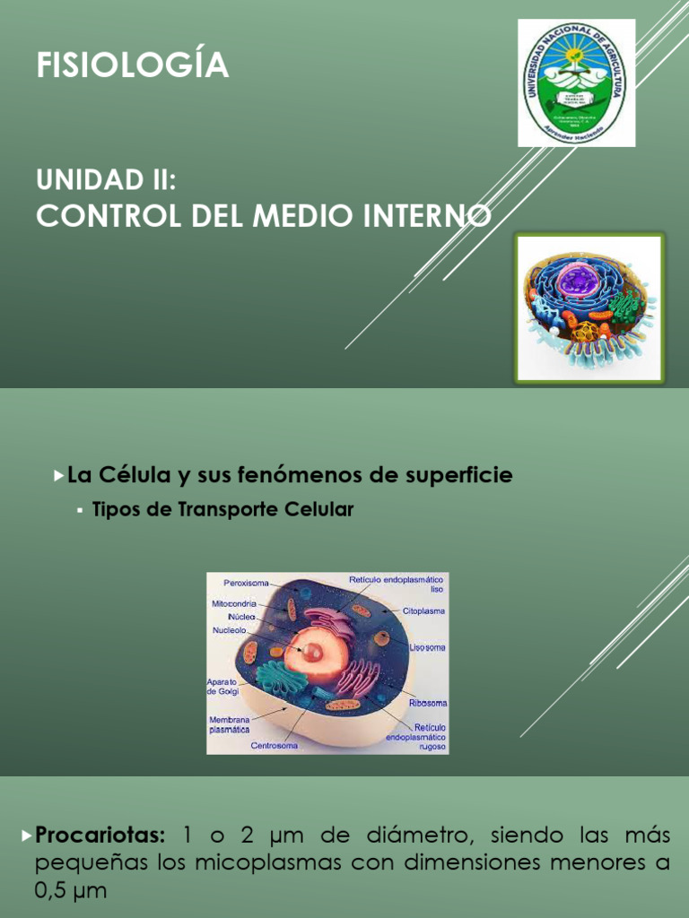 2 Fisiologia Medio Interno | PDF | Ósmosis | Biología Celular