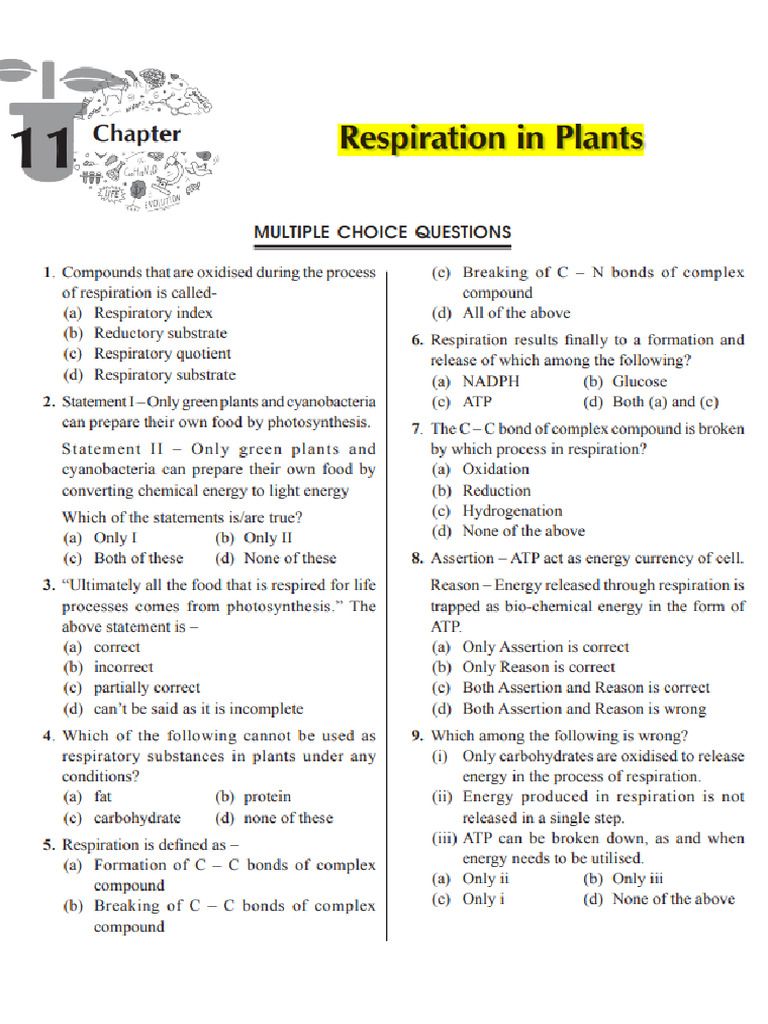 Respiration in Plants | PDF