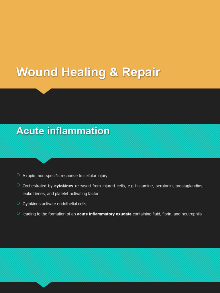 Lec # 6 Inflammation & Healing | PDF | Wound Healing | Inflammation