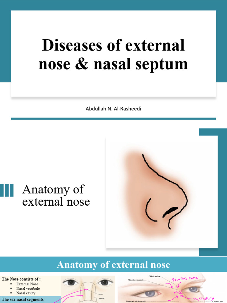 Nasal Anatomy & Disorders Guide | PDF | Human Nose | Otorhinolaryngology