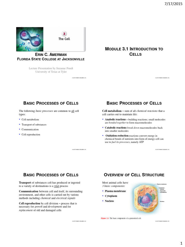 Introduction to Cell Structure and Functions | PDF | Cell Membrane ...