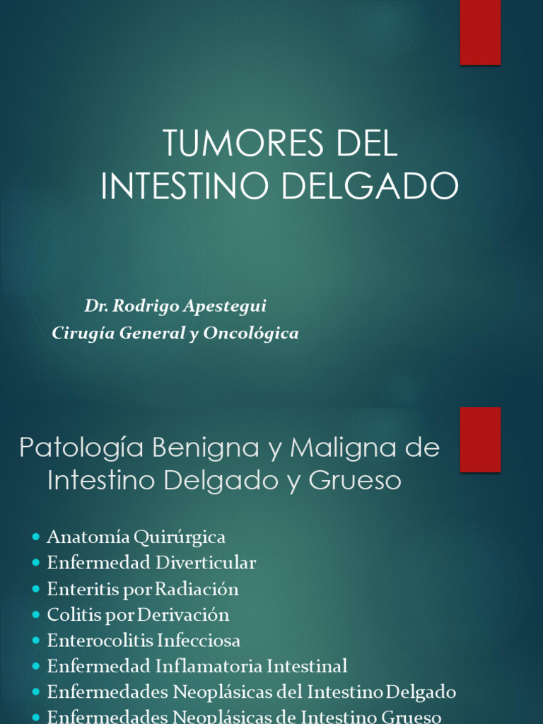 Clase 30 - Tumores Del Intestino Delgado | PDF | Intestino delgado ...