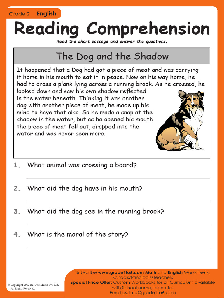 Reading Comprehension | PDF