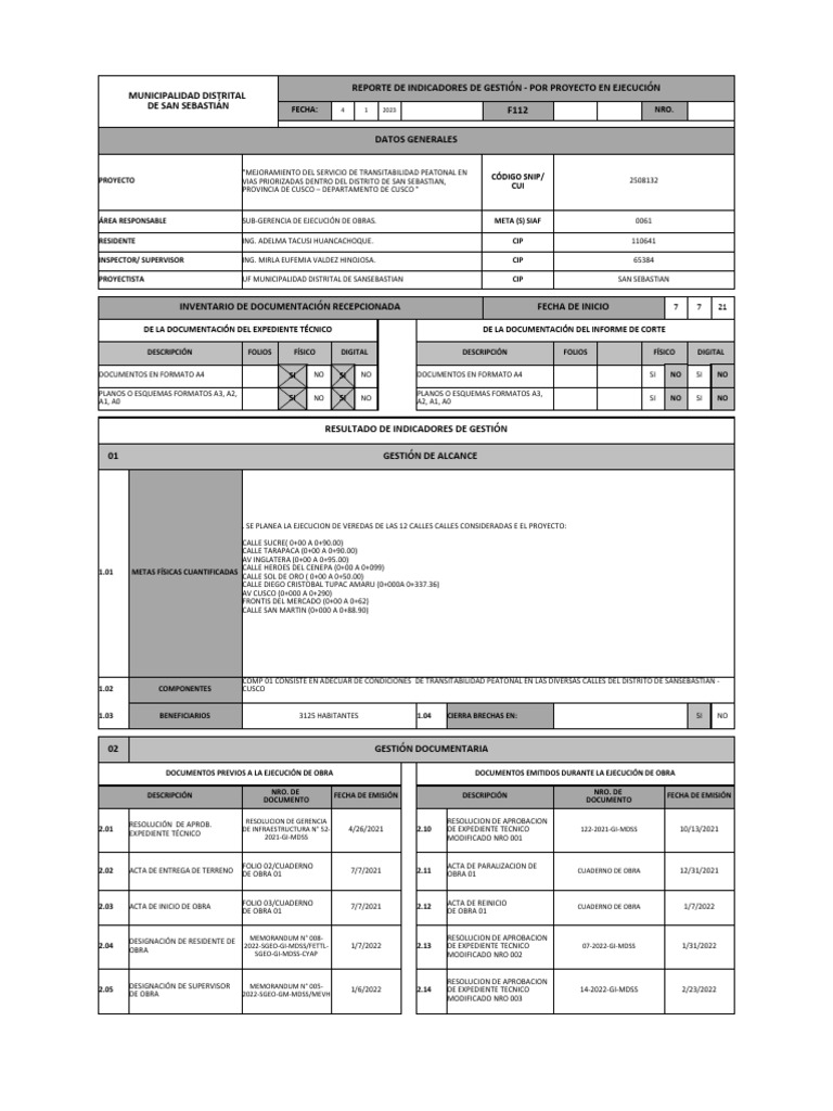 Modelo Inf Mensual | PDF | Business | Ciencia de sistemas