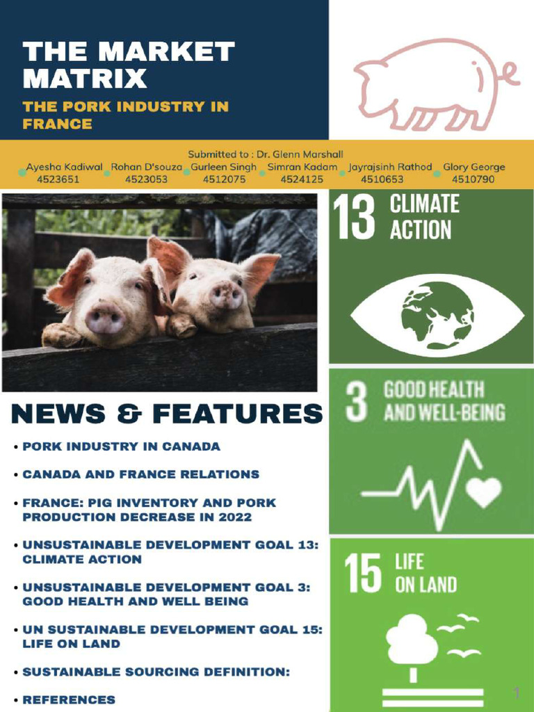 60E6807E-DC73-4897-8117-B7CEBFFAFC4C | PDF