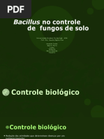 Bula Exalt 191217 | PDF | Embalagem e rotulagem | Inseticida