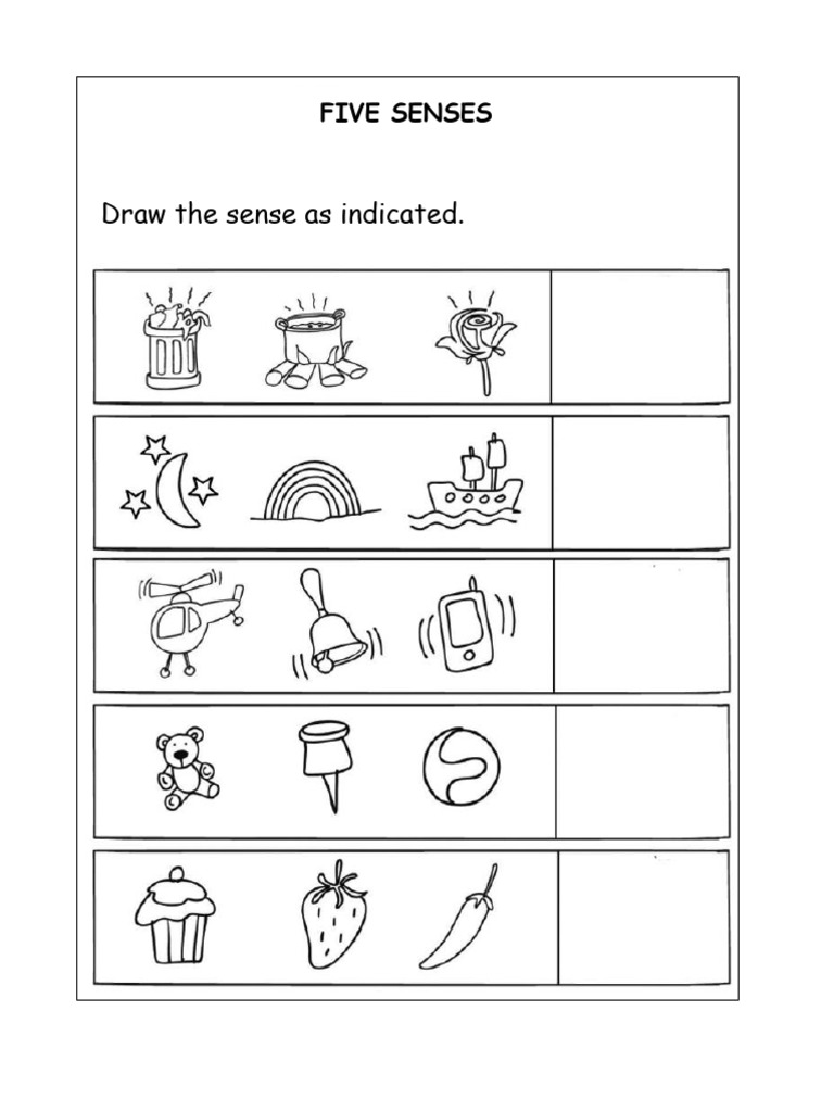 Cuadernillo de Los 5 Sentidos en Inglés | PDF