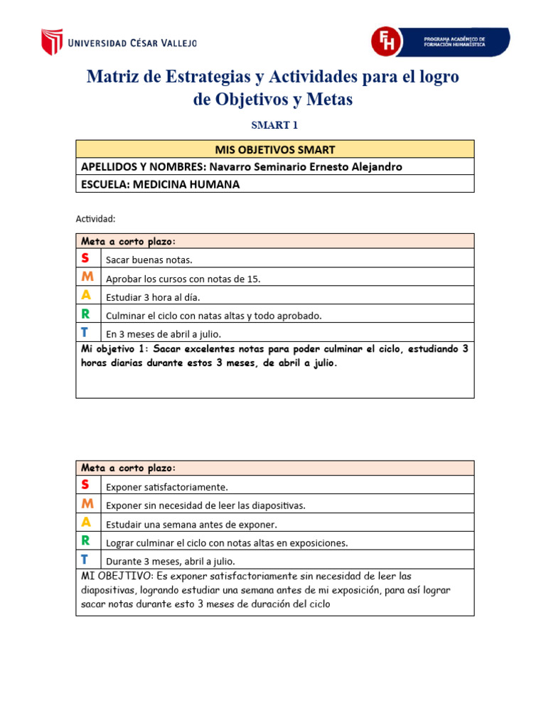 MATRIZ OBJETIVOS SMART ERNESTO ALEJANDRO NAVARRO Seminario | PDF