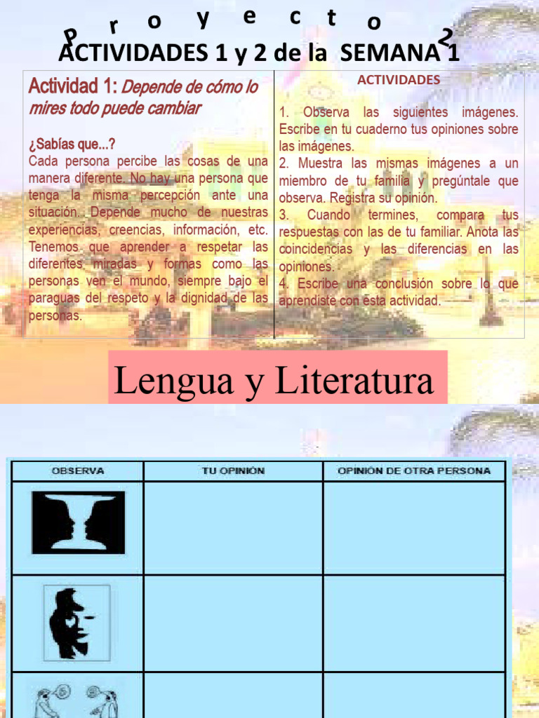 Percepción y Descripción en Lengua y Literatura | PDF | Adjetivo