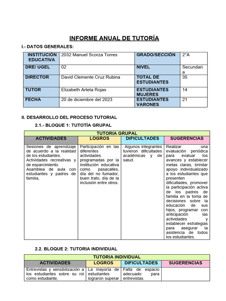 Informe Anual de Tutoria Elizabeth | PDF