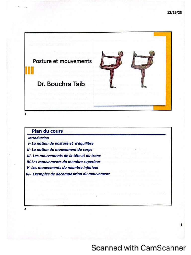 Posture Et Mouvements | PDF