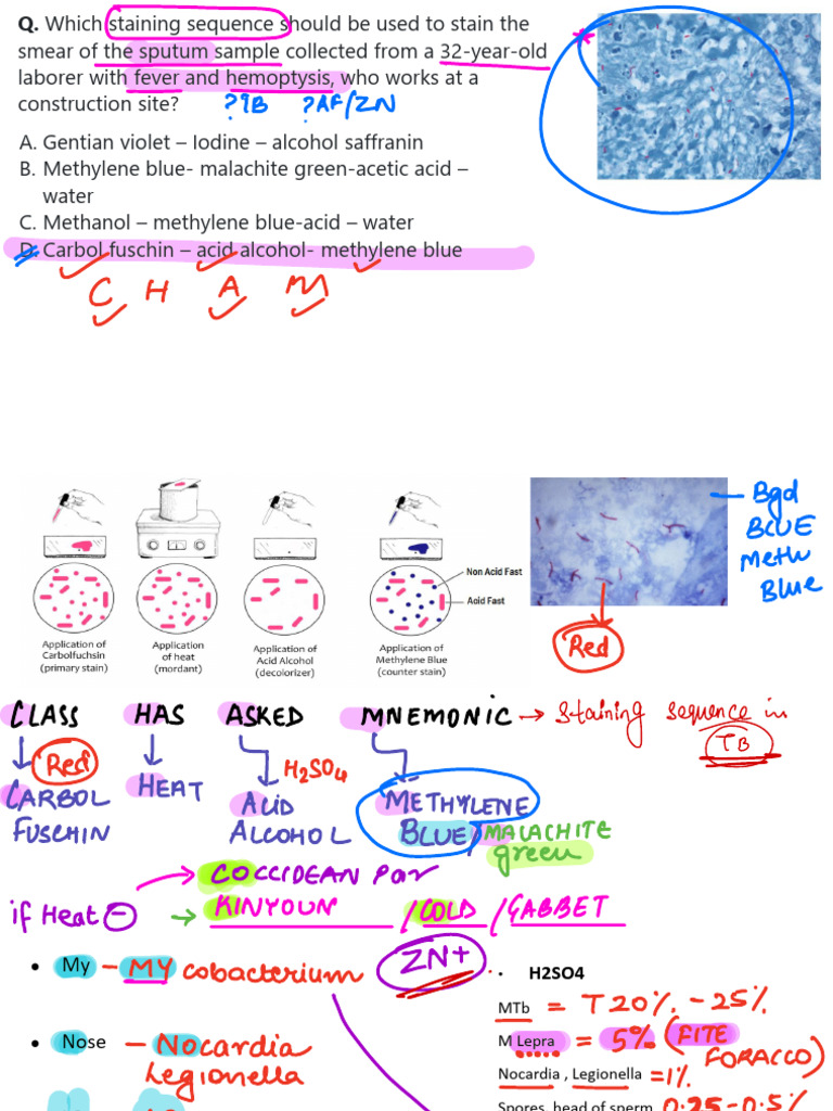 LRR Microbiology Part | PDF
