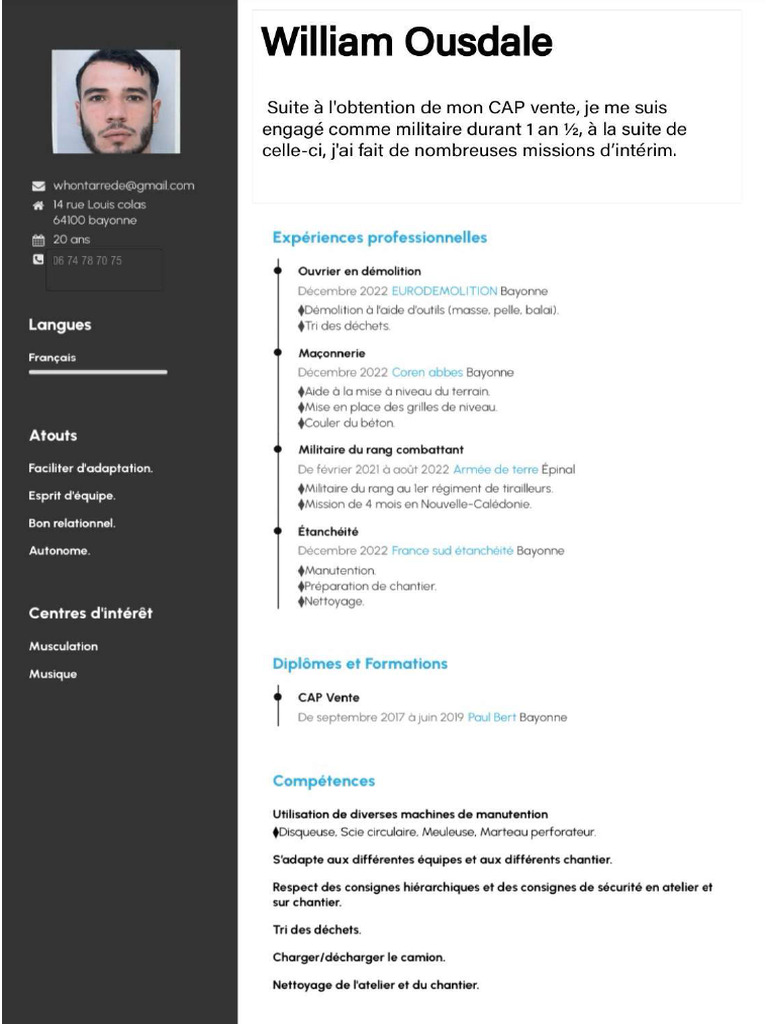 Curriculum Vitae William Ousdale | PDF
