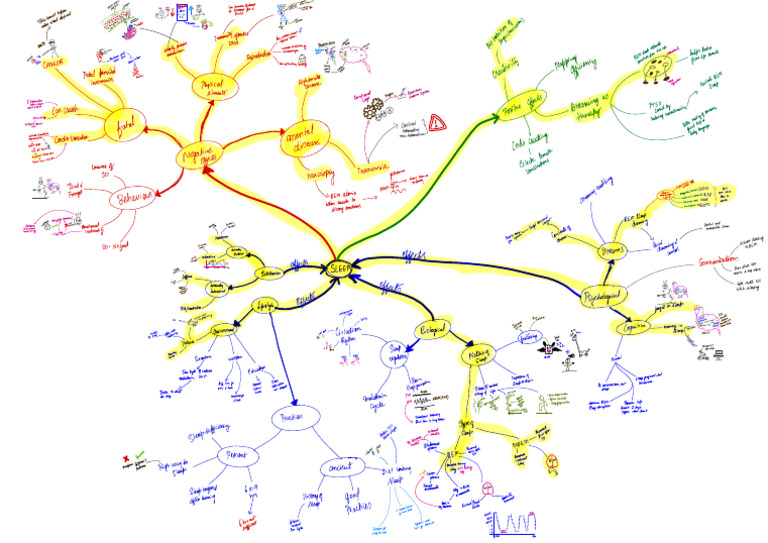 Why We Sleep Mind Map | PDF | Epidemiology | Causes Of Death