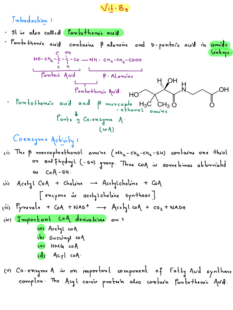 Water Soluble Vitamin - B5 - B7 | PDF | Chemistry | Organic Chemistry