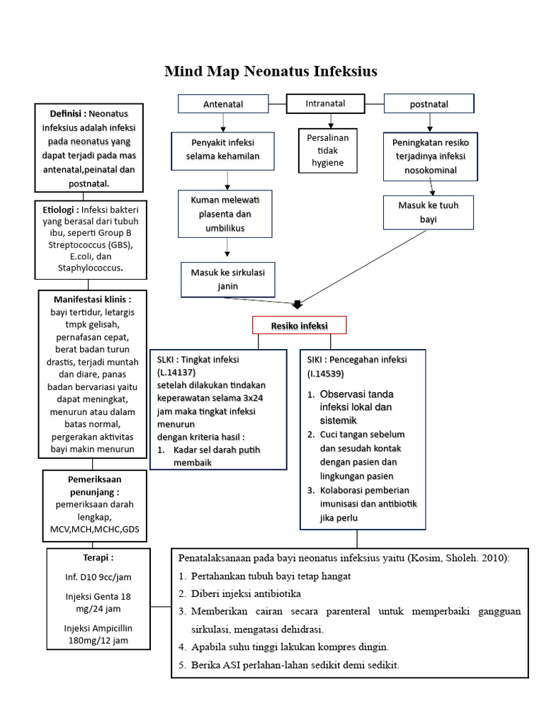 Mind Map Neonatus Infeksius | PDF
