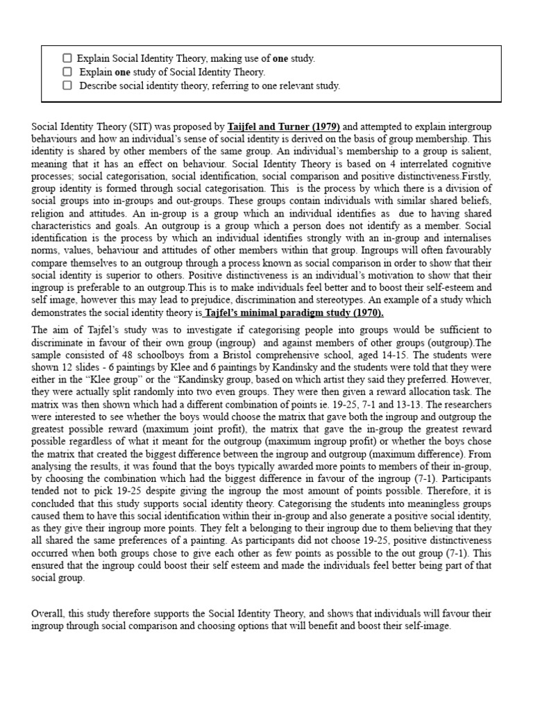 Social Identity Theory | PDF | Reference | Cognitive Psychology